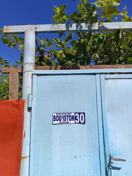 Посуточно сдается милый домик в селе Богустан