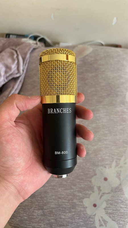 Scarlett 2i2 Studio [3rd Gen] + BM800 Microphone