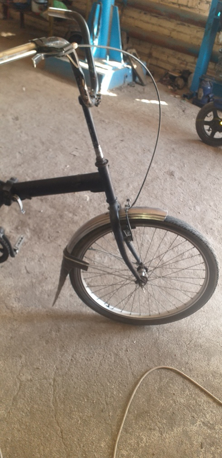 velik xoliti yaxshi
