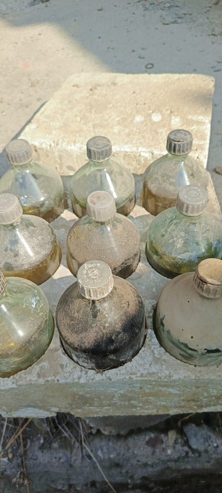 Kislata ancha yilgi cccр