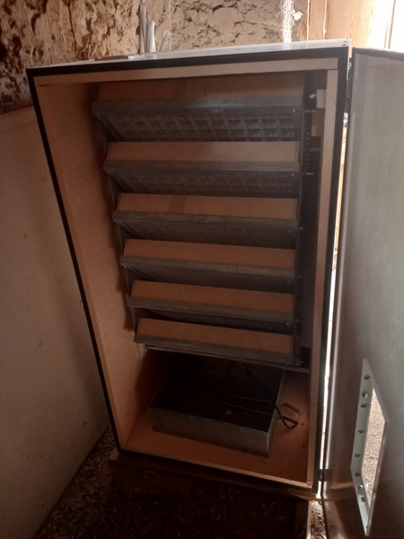 Inkubatr 500talik