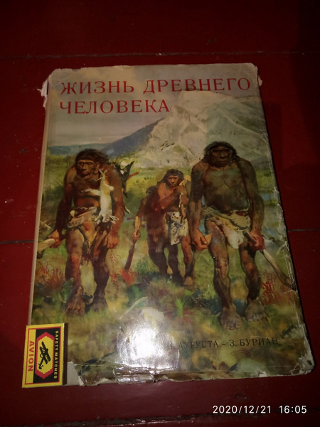 Книга