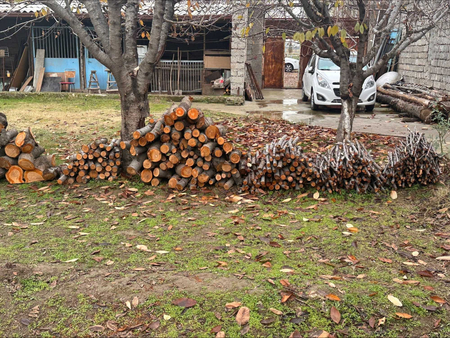 продам дрова  от черешни и абрикоса. Мевали Дарахт утинини сотаман.