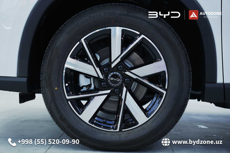 BYD Song Pro DM-i Champion (71km Flagship)