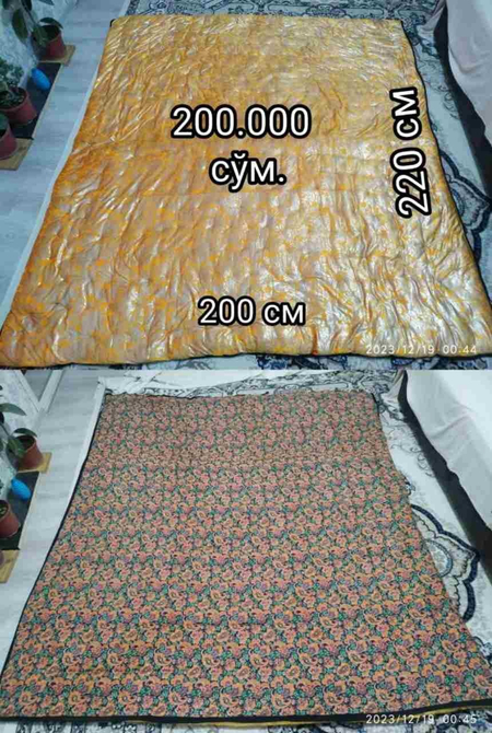 Tayor 4 korpalar sotiladi.
