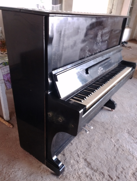 pianina idealni kelishamiz