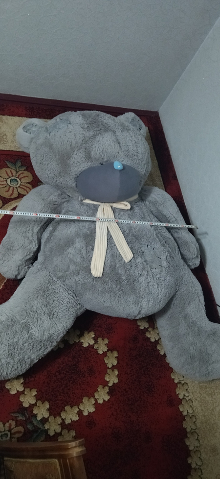 Teddy Айик сотилади !