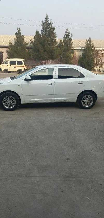 Coablt A/T 2023 Bolib tolashga qb beraman