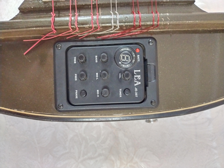 Ud (oud) electro