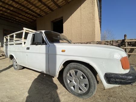 Volga 31029 Yaxwi xolata