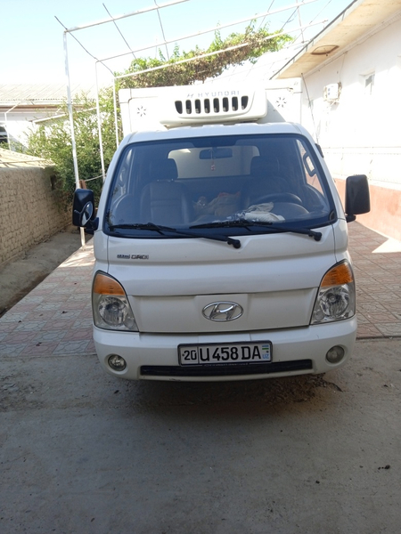 Hyundai portret 2