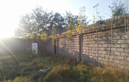 Площадь: 5 соток