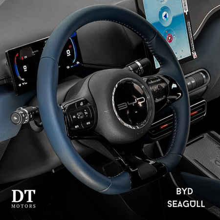 BYD Seagul 405 km li 2024 yil