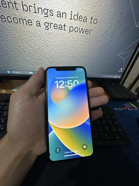 iPhone X 256 GB