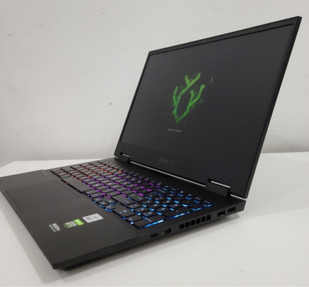 HP Omen Gaming Core i7 10750H. RTX 2070 8GB. Display 300Ghz