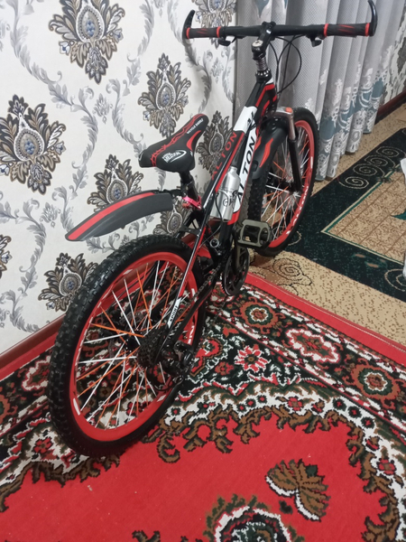 Алтон скоростной 24