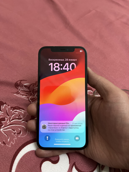 Iphone 12 pro dual