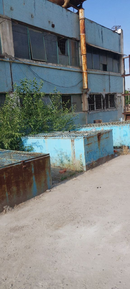 Аквариумы под рыбу