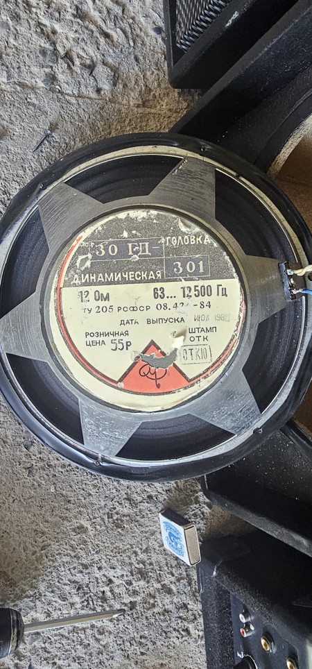 Kolonka 12 dyum dynamic va usilitel Mirsazava 100x2