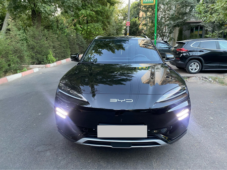 BYD Champion 605km