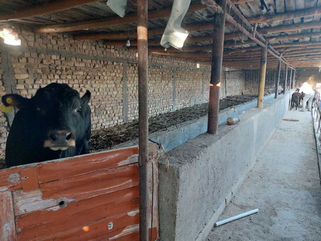 Срочно Продается дом г.Чирчик