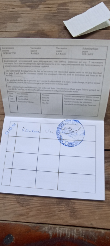 Бишон.текинга яхши кулларга