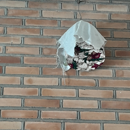 Бедона сотаман янги