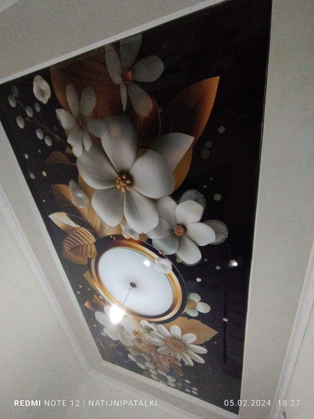 Натяжные потолки  55000