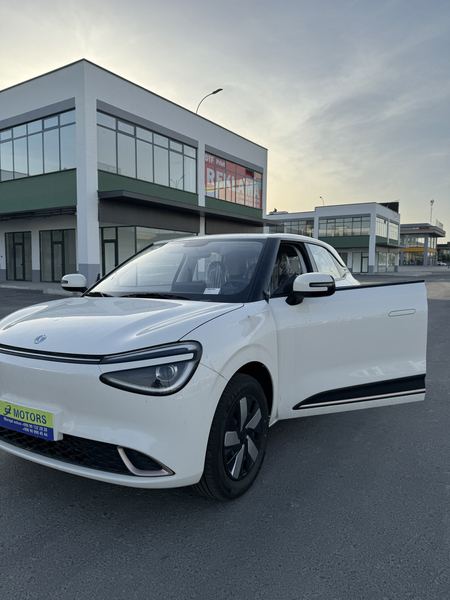 Dongfeng Nammi01 2024