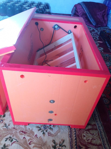 INKUBATOR 100talik yangi