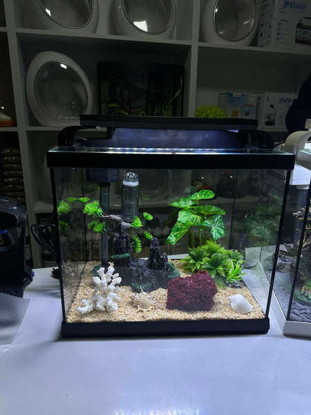 Akvarium xitoy new