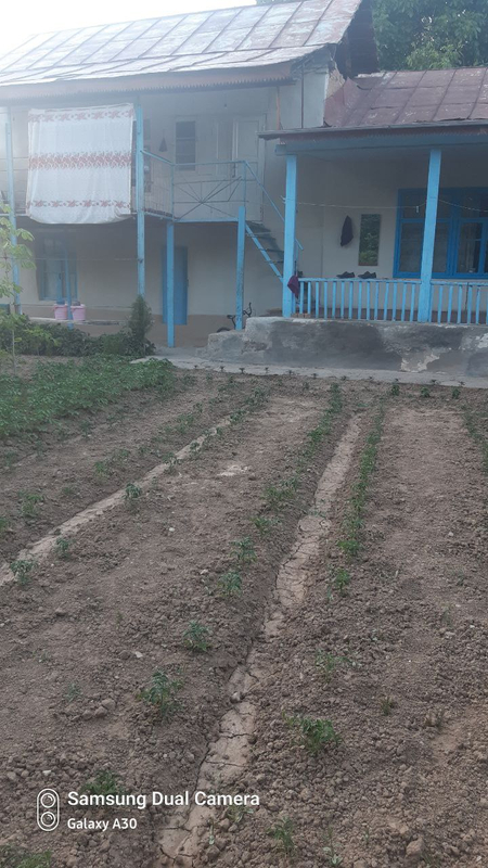 Tosh vil. Boʻstonliq tum. Sijjak qishlogʻida uy sotiladi