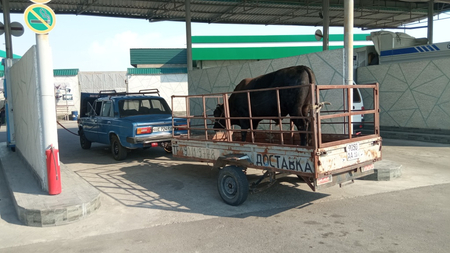 Продается ваз 2106 с прицепом вариянт выкуп не предолагь