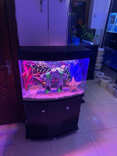 Akvarium New 150_200 litrlik
