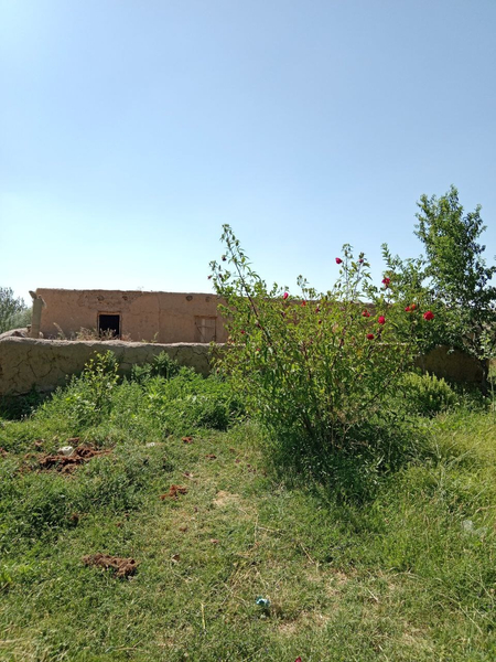 uy sotiladi maydoni kotta daraxtlar kop