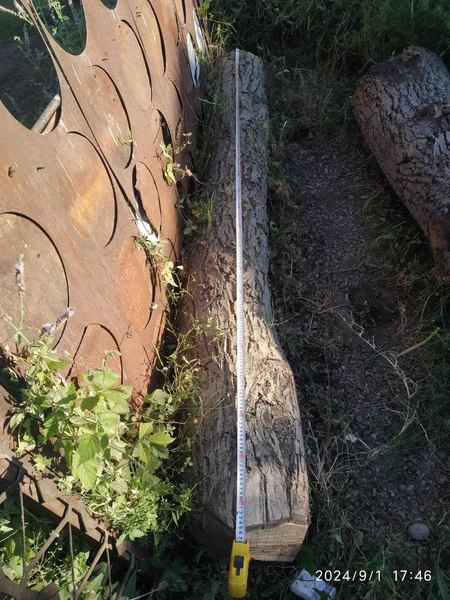 Дерево для мебели из благородной древесины