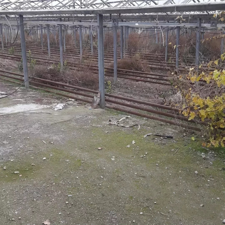 Недвижимость бизнес