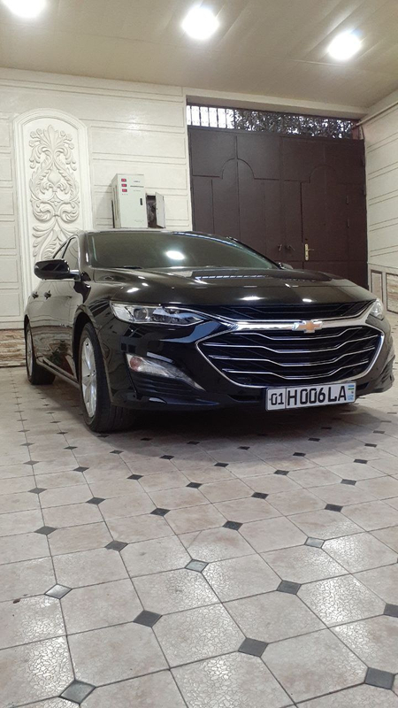 Malibu 2 primier