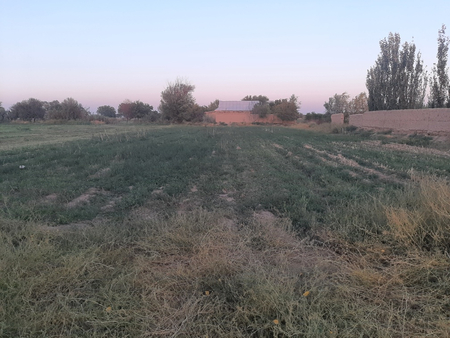 Uy katej sotiladi kosan tumanda 51da 41 sotik yir maydoni