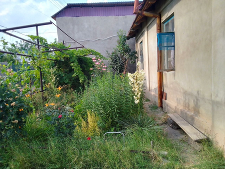 Срочно продаётся дача 6 соток 3 ком
