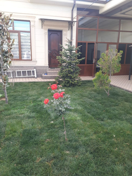 Gazon ekish xizmati taklif qilamiz .