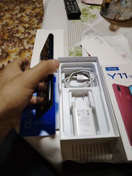 Vivo        Y 11.