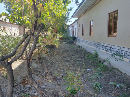 Xovli sotiladi 18 sutik 8 ta xona