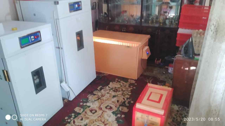 Inkubator xizmat