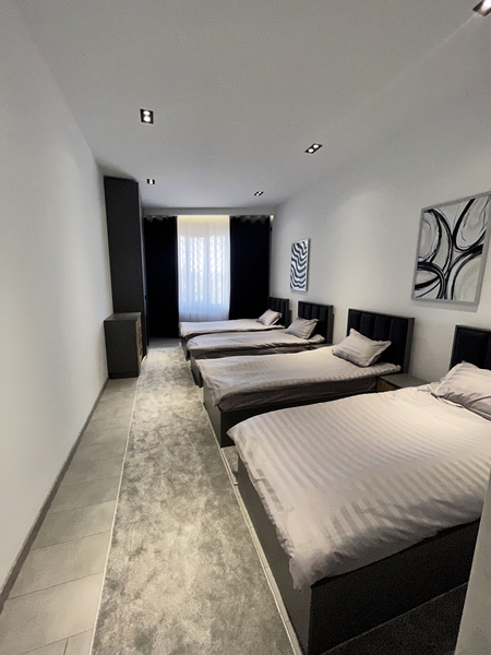 Dacha Lyuks Zimniy basseyn Sauna bor