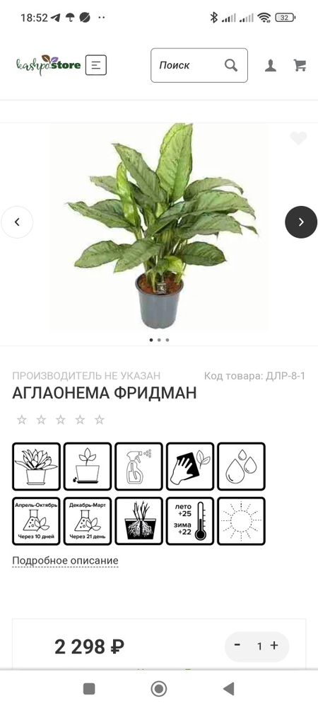 Аглонема комнатные растения