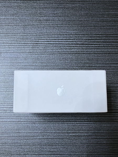 Air Pods Pro 2 (ANC)