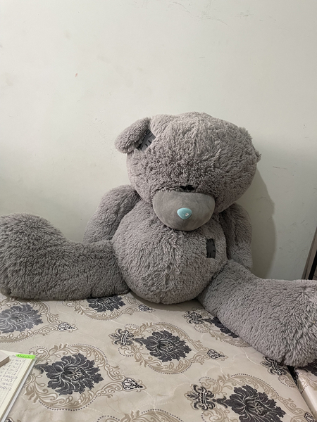 Тедди  Мишка teddy ayik