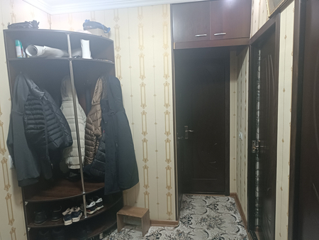 Bektemir domlari