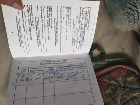 Отдам даром собаку в хорошие руки